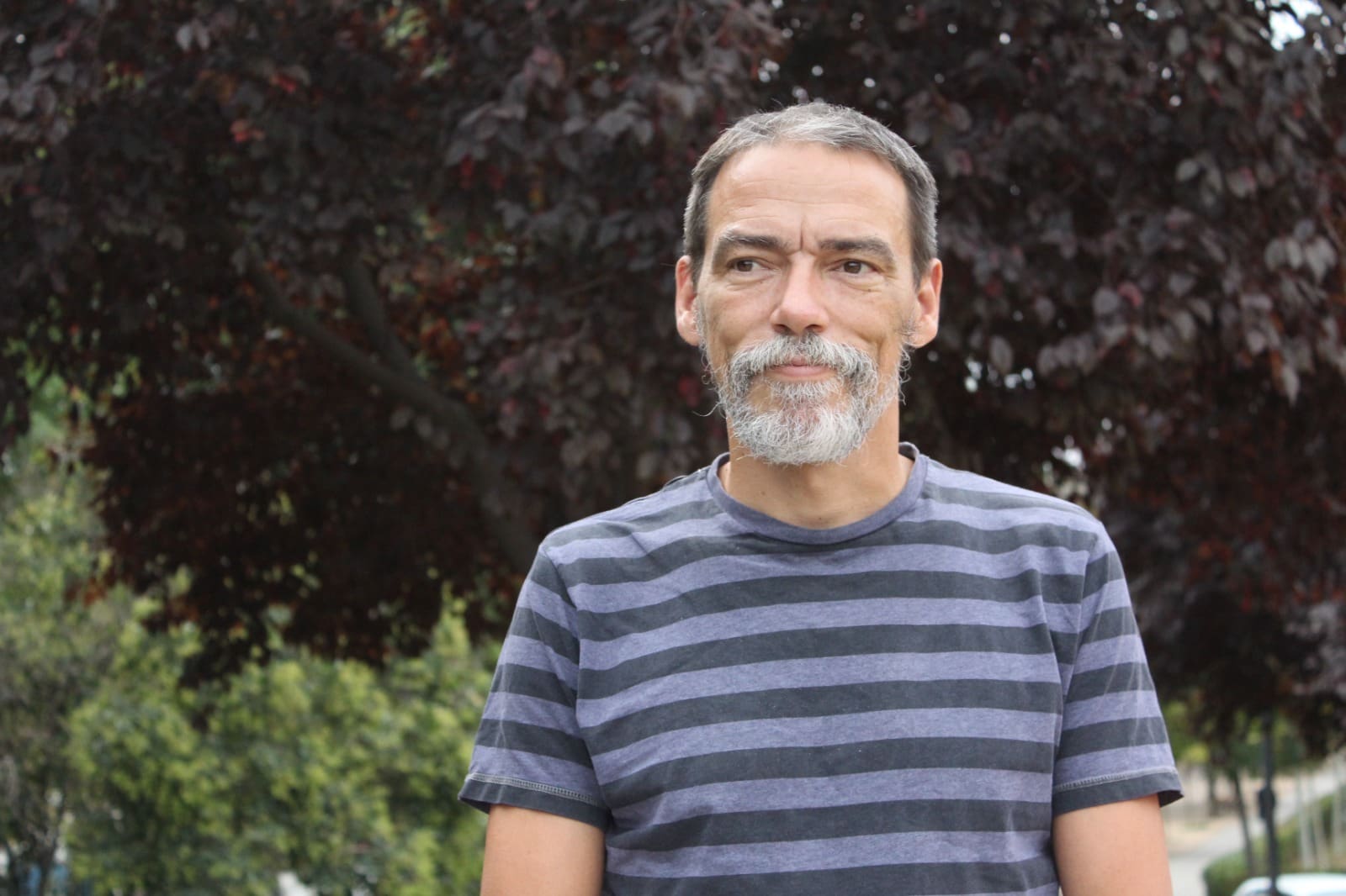 OPINIÓN/ Carlos Enjuto (Podemos): "Renovables, sí; en espacios ...