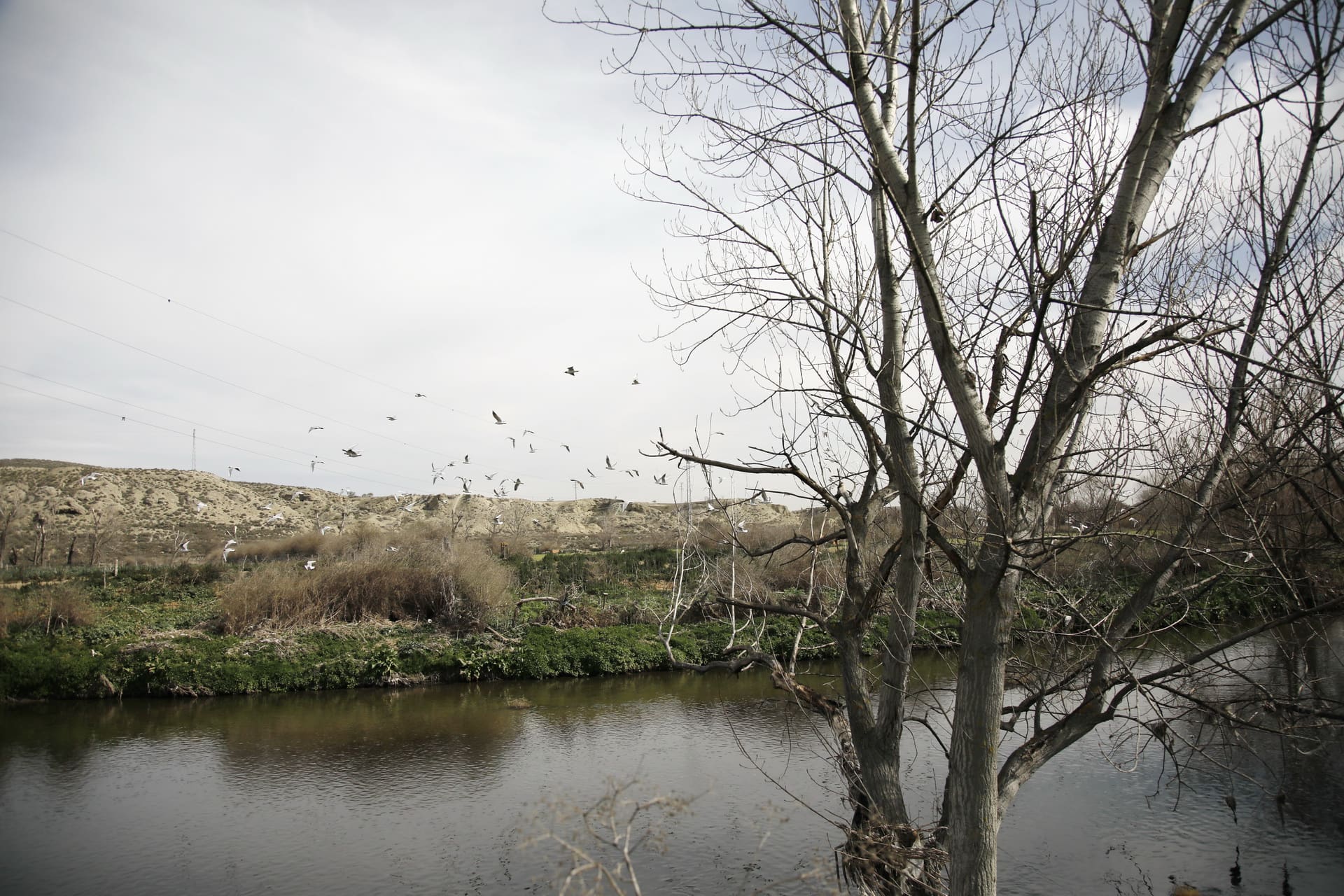 'Getafe Río' avanza: las novedades sobre el proyecto fluvial más ...
