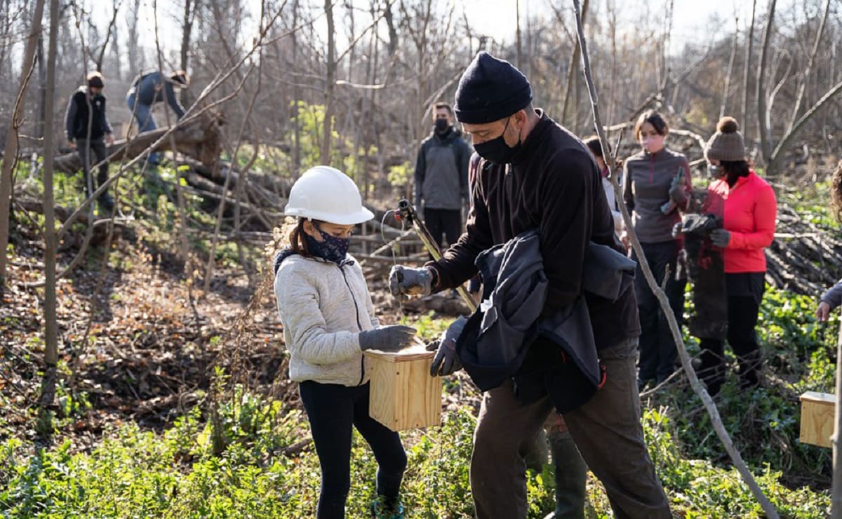 RIVAS/ La restauración del río Jarama sigue en 2023 con dos nuevas ...