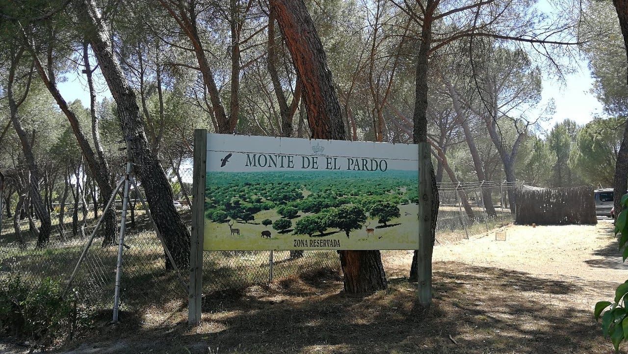 Objetivo: abrir el monte de El Pardo a todos los madrileños | Noticias ...