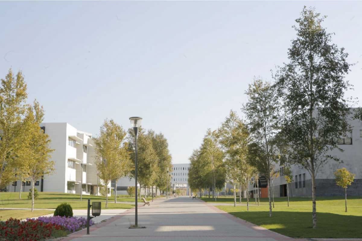 MÓSTOLES/ ¿Cuántos animales y vegetales puedes identificar en el campus ...
