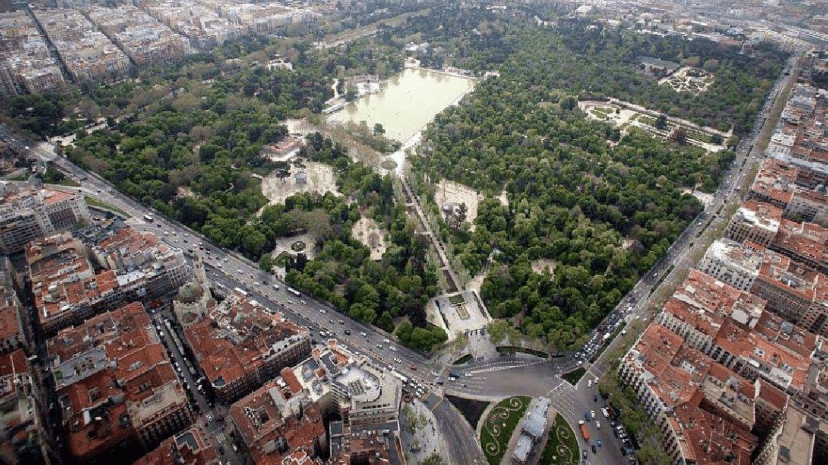 Detectado un pavo real de El Retiro con gripe aviar: amplían las ...