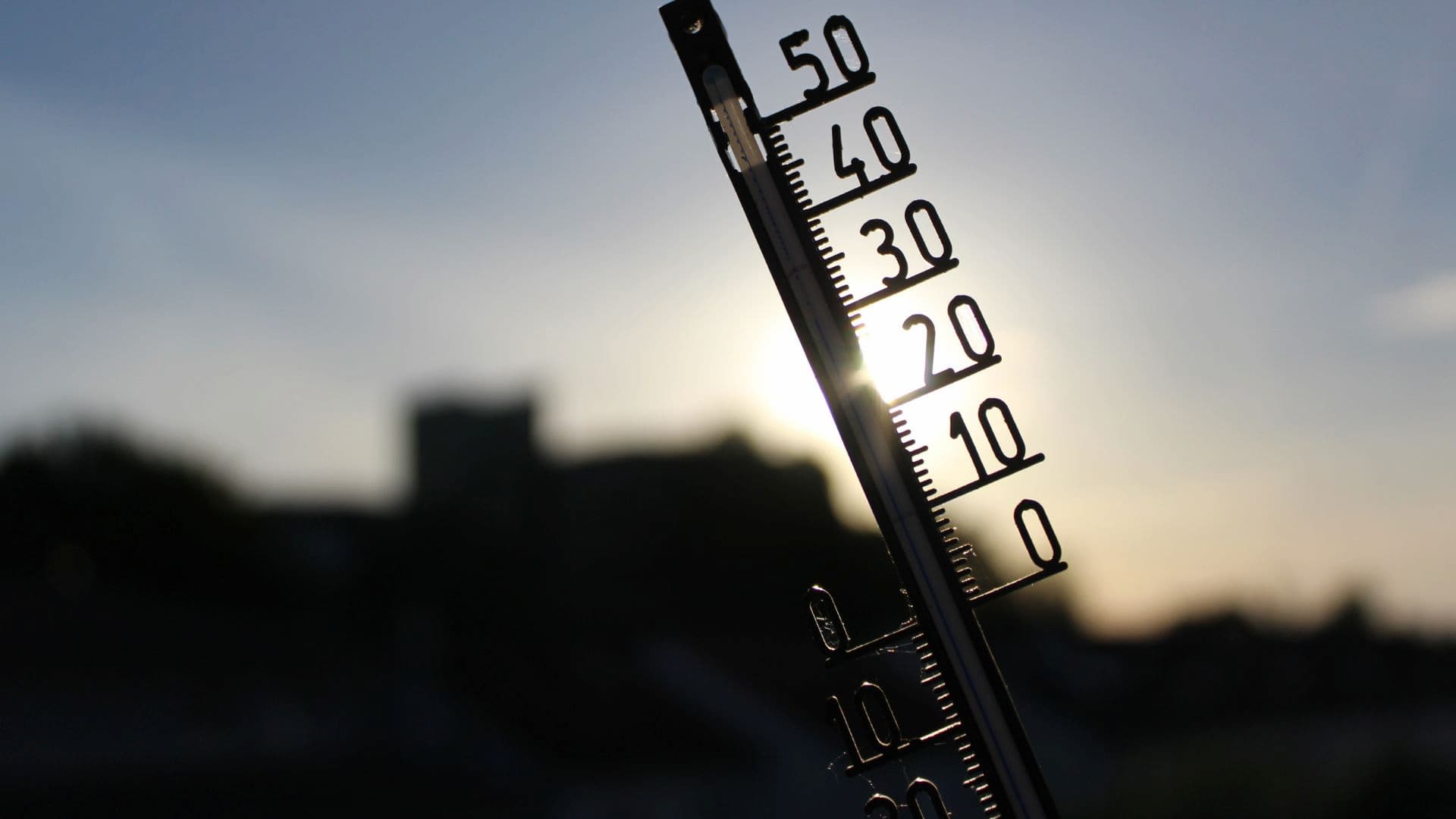 Alcorcón recuerda cómo hacer frente a la ola de calor | Noticias para ...