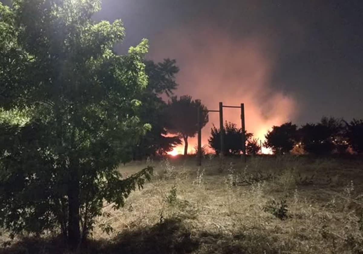 Incendio en Móstoles: el Parque Nelson Mandela en alerta| Noticias para ...